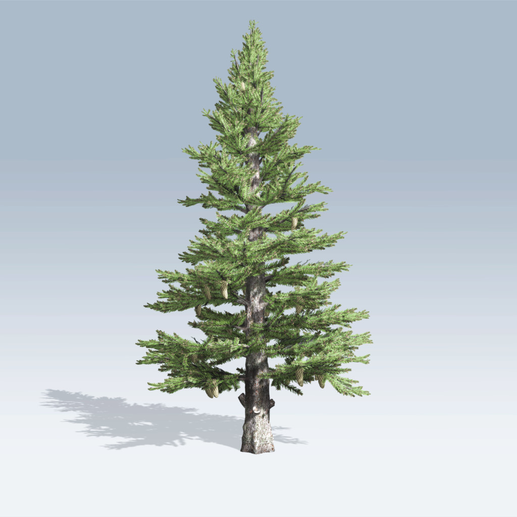 Kuusi vai sika: Onko kasveilla mieli? | hermitandhounds